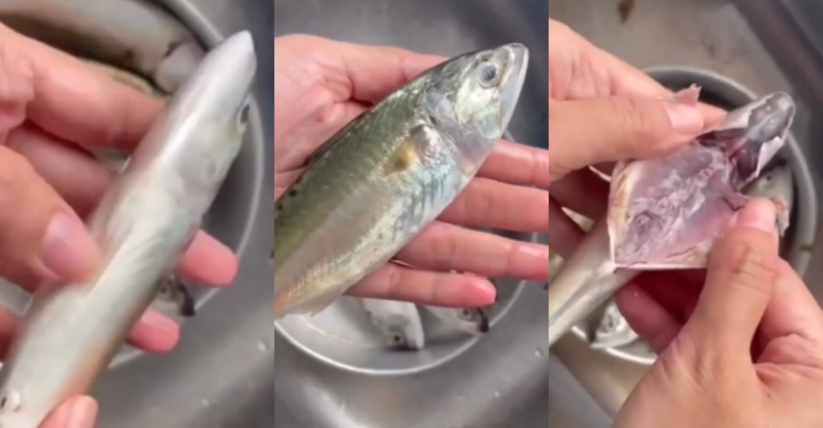 Sepantas 5 Saat, Ni Cara Siang Ikan Guna "Chopstick" Mudah Je - Lauk Tambah